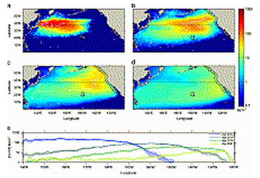 West Coast of North America to Be Hit Hard by Fukushima Radiation